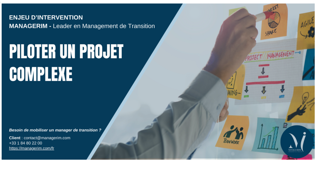 Piloter un projet complexe I Enjeu Transition | Managerim